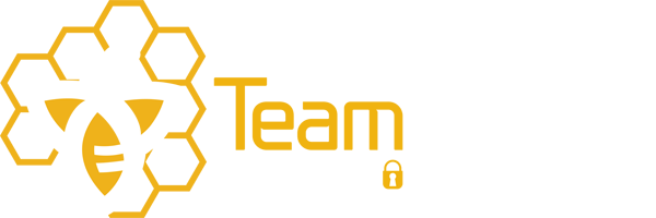 We Integrate People, Processes, and Technology | TeamWorx Security